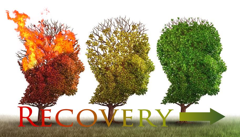 Recovery Actions – CSRD – NorthShuswap.Info